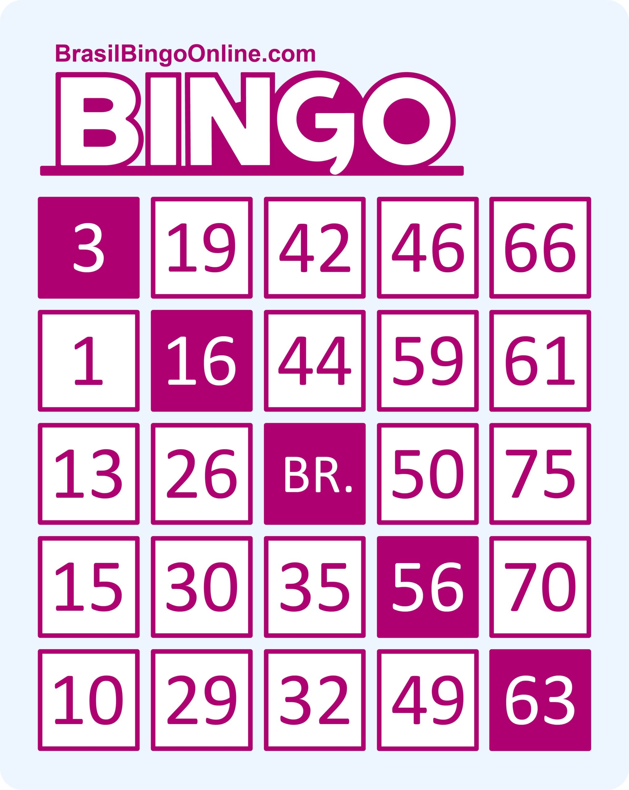 Explorando as Melhores Combinações de Bingo 75: Offline e Online