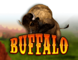 Bingo Buffalo: Conheça o Melhor Bingo Online 2024